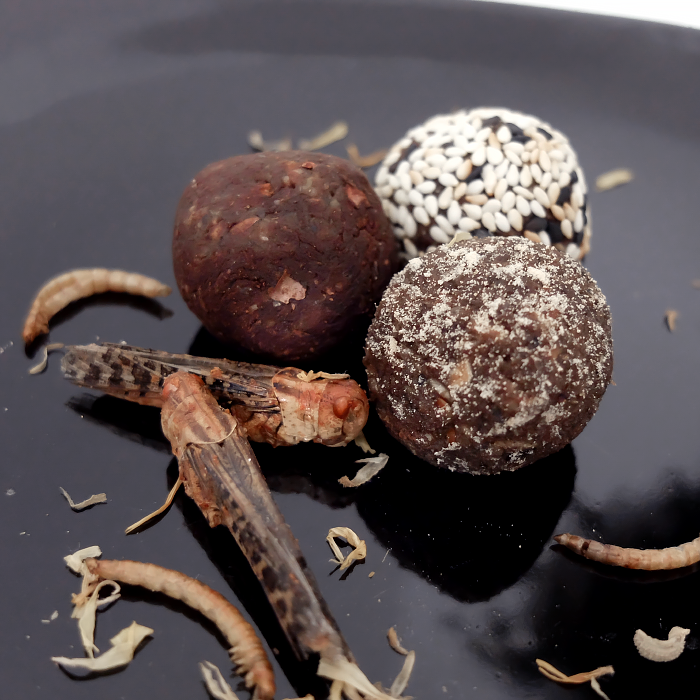 Blood and Crickets Protein Bites – THE RED CELLAR