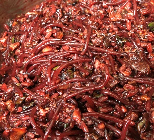 Soondae Bloody Soondae : Korean Blood Sausage (순대) – THE RED CELLAR