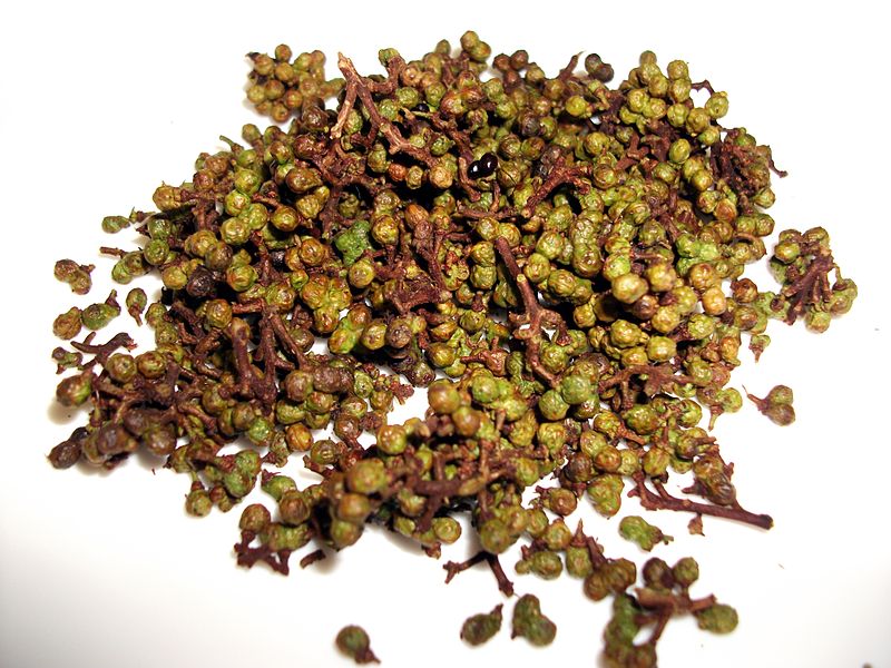 Saksang : Sumatran Blood Curry – THE RED CELLAR