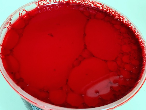 Saksang : Sumatran Blood Curry – THE RED CELLAR